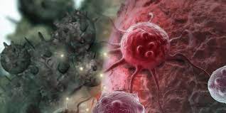 Low-cost non-invasive colon cancer screening test equally effective ...