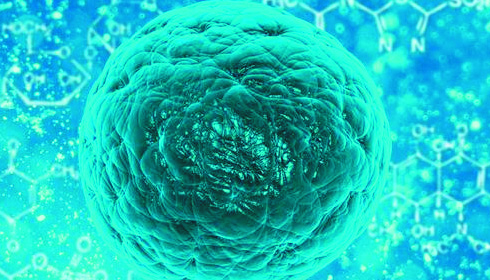 DKMS-BMST Foundation India Celebrates Women Blood Stem Cell Donors