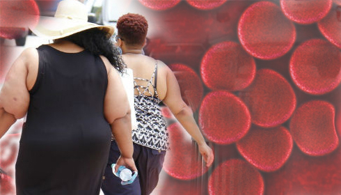 RADDISON HEALTH CARE PVT. LTD. - Brand CARBOZYME - MPS details