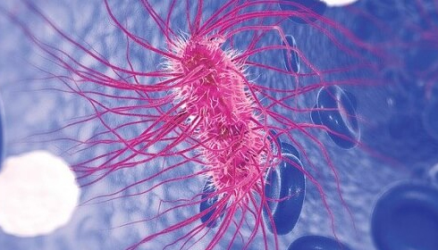 New Compounds from Arctic Actinobacteria Show Promise in Fighting ...