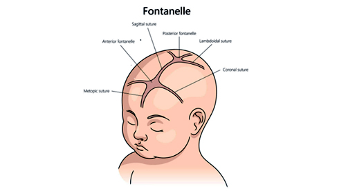 5 Main Reasons Behind Bulging Fontanelle