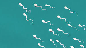 Decline in Sperm Count Among Men: Experts Highlight Key Factors and ...