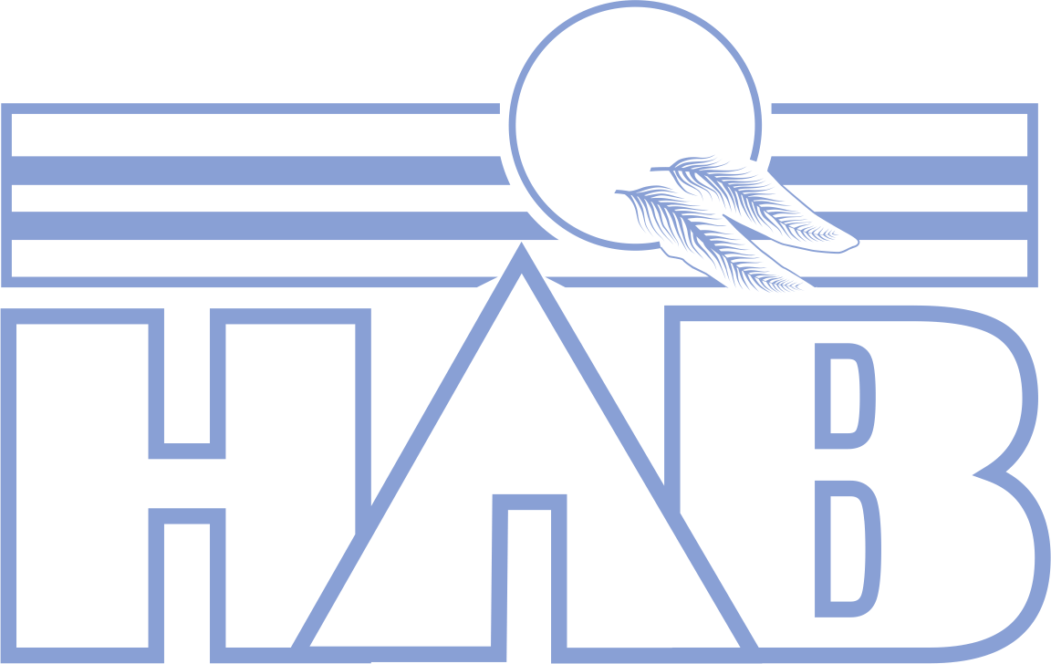 HAB Pharma: Empowering Health Through Quality Pharmaceuticals